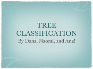 Ana H, Naomi J, and Dana D's Tree Classification Project | PPT