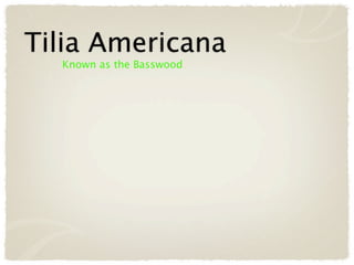 Ana H, Naomi J, and Dana D's Tree Classification Project | PPT