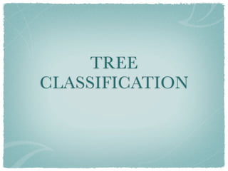 Ana H, Naomi J, and Dana D's Tree Classification Project | KEY
