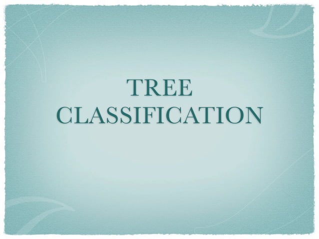 Ana H, Naomi J, and Dana D's Tree Classification Project | PPT