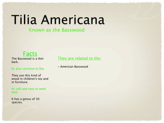 Ana H, Naomi J, and Dana D's Tree Classification Project | PPT