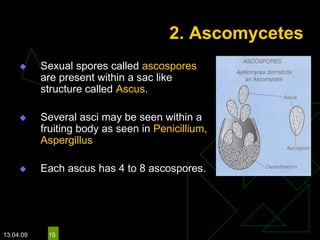 Classification & properties of fungi | PDF