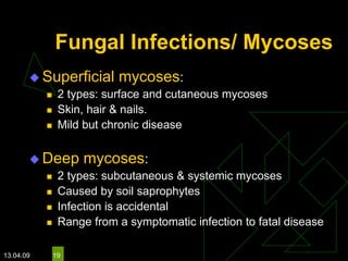 Classification & properties of fungi | PDF