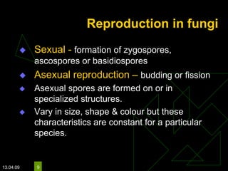 Classification & properties of fungi | PDF