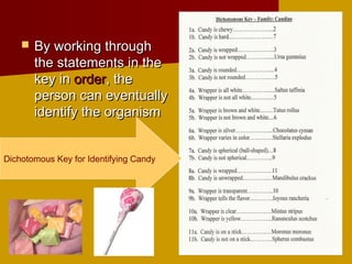 Classification prt1 | PPT