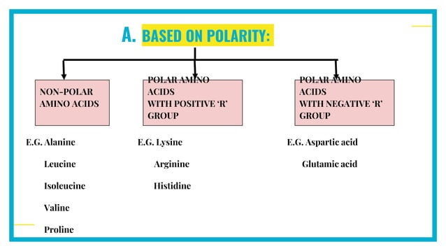 Classification & qualitative tests of amino acids | PPTX | Chemistry ...