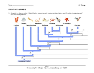 Classification review2008 | PPT