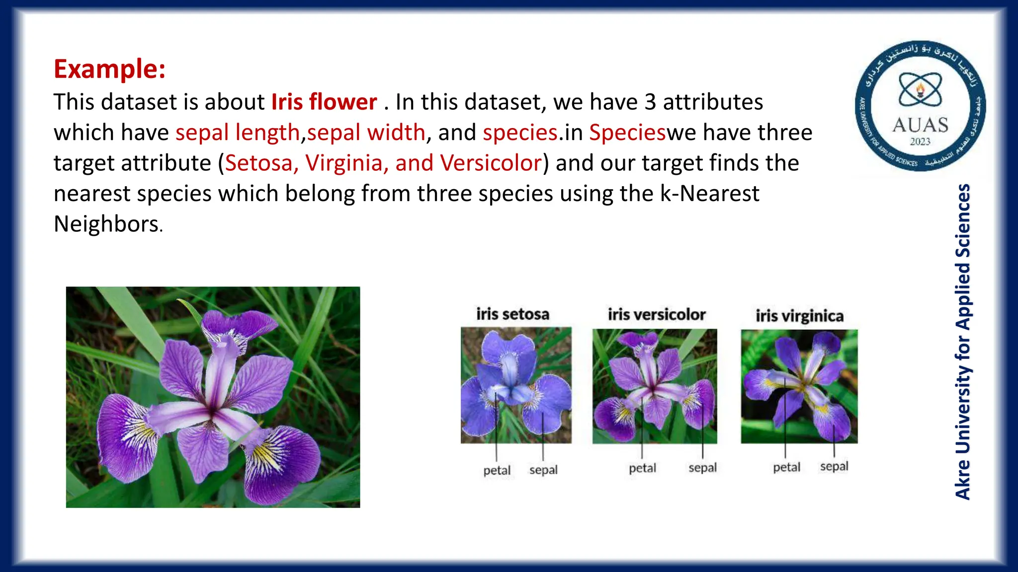 Classification: Alternative Techniques and Nearest Neighbor Classifiers | PPT