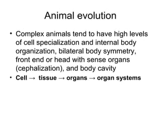 Classifications | PPT