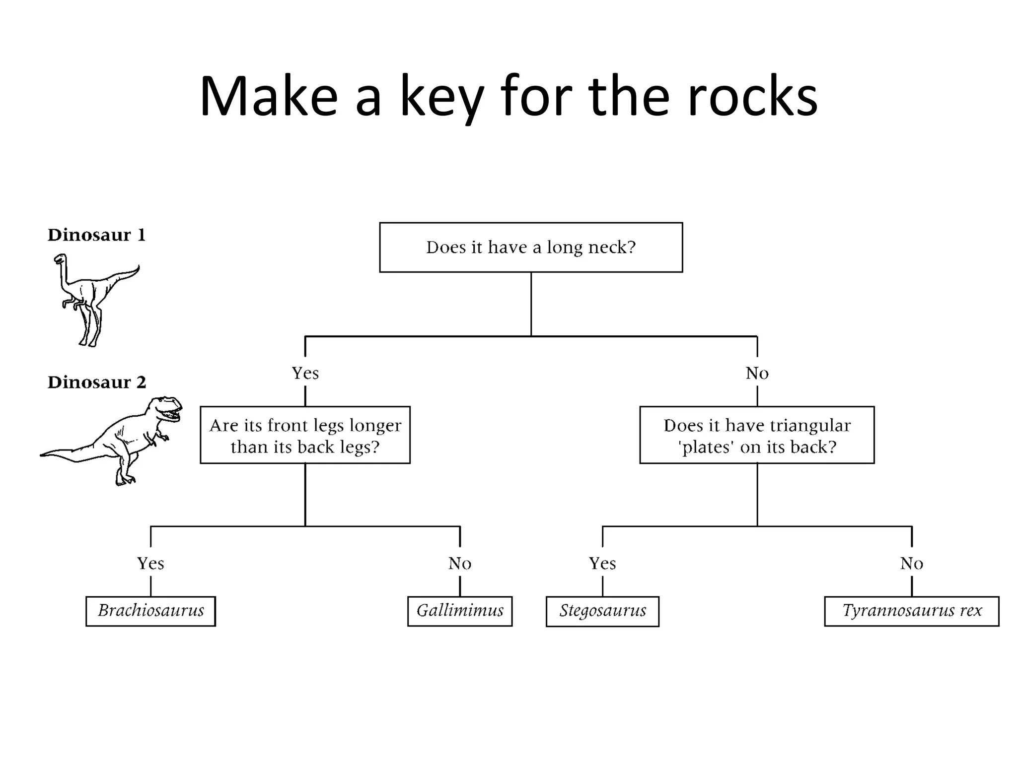 Classifications –rocks.ppt | Geology | Science