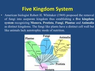 Classification seven kingdom | PPTX