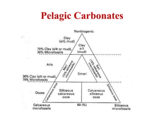 Classifications of carbonate rocks | PDF