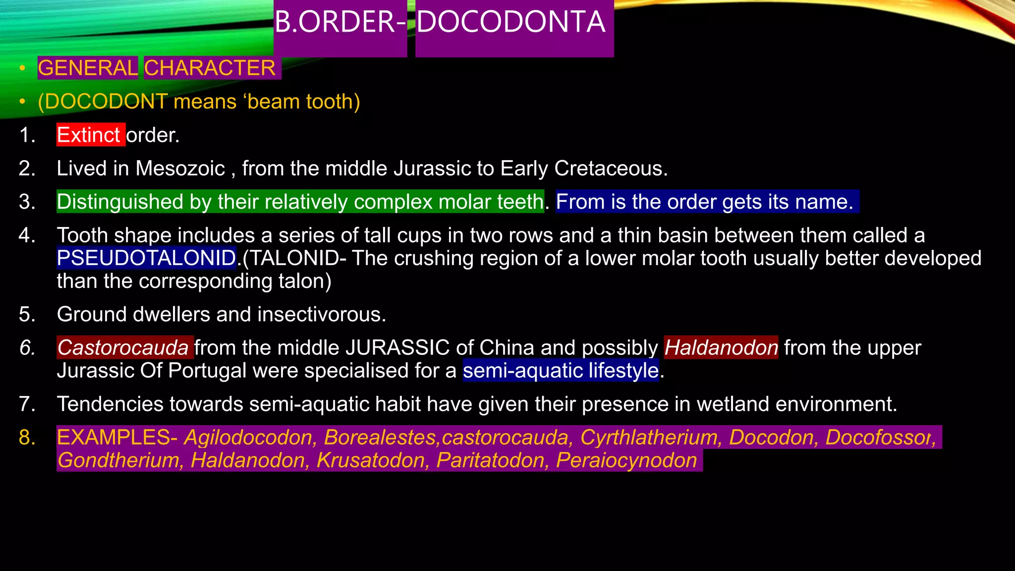 Classifications of mammals and aves | PPTX
