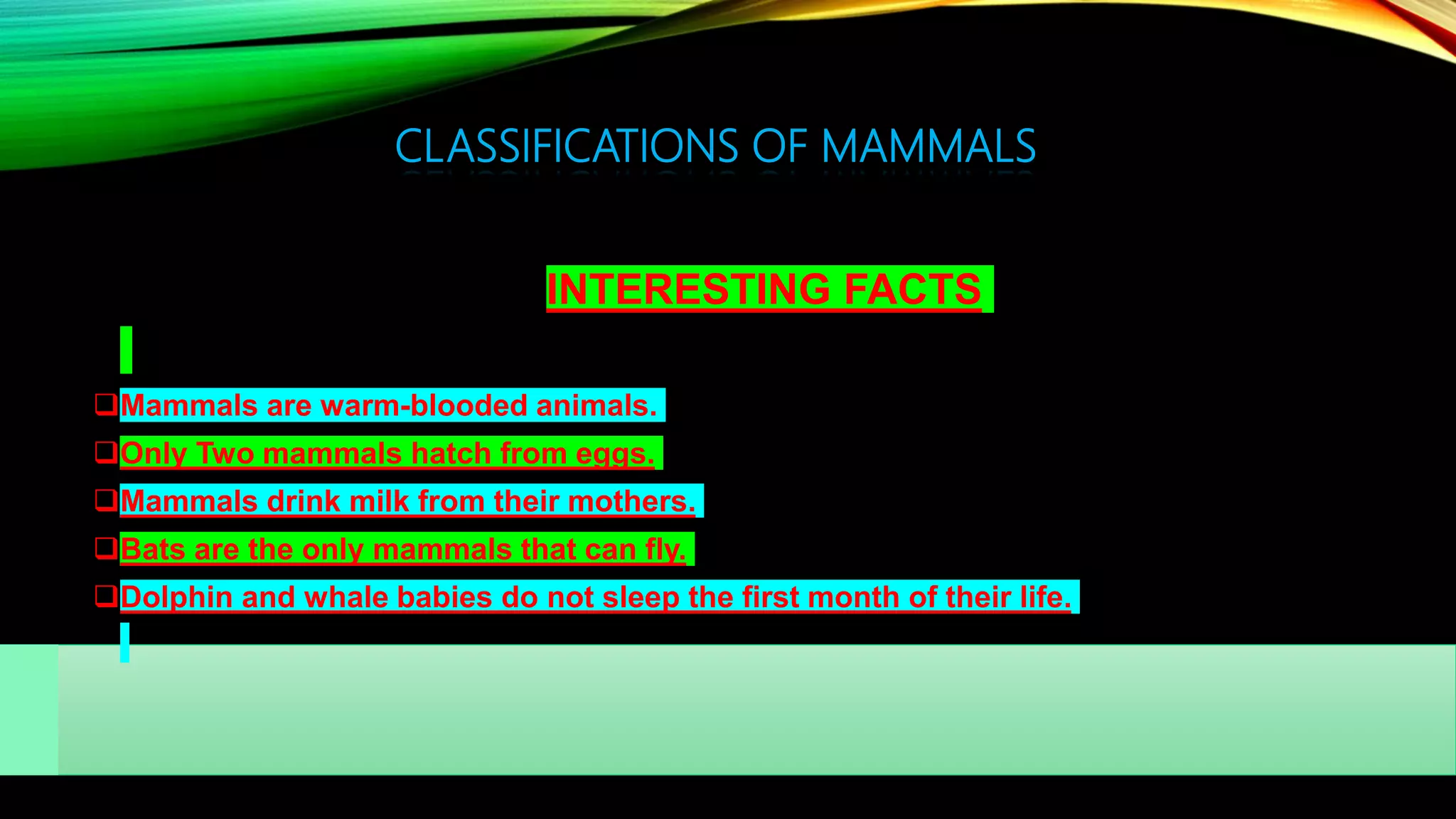 Classifications of mammals and aves | PPTX