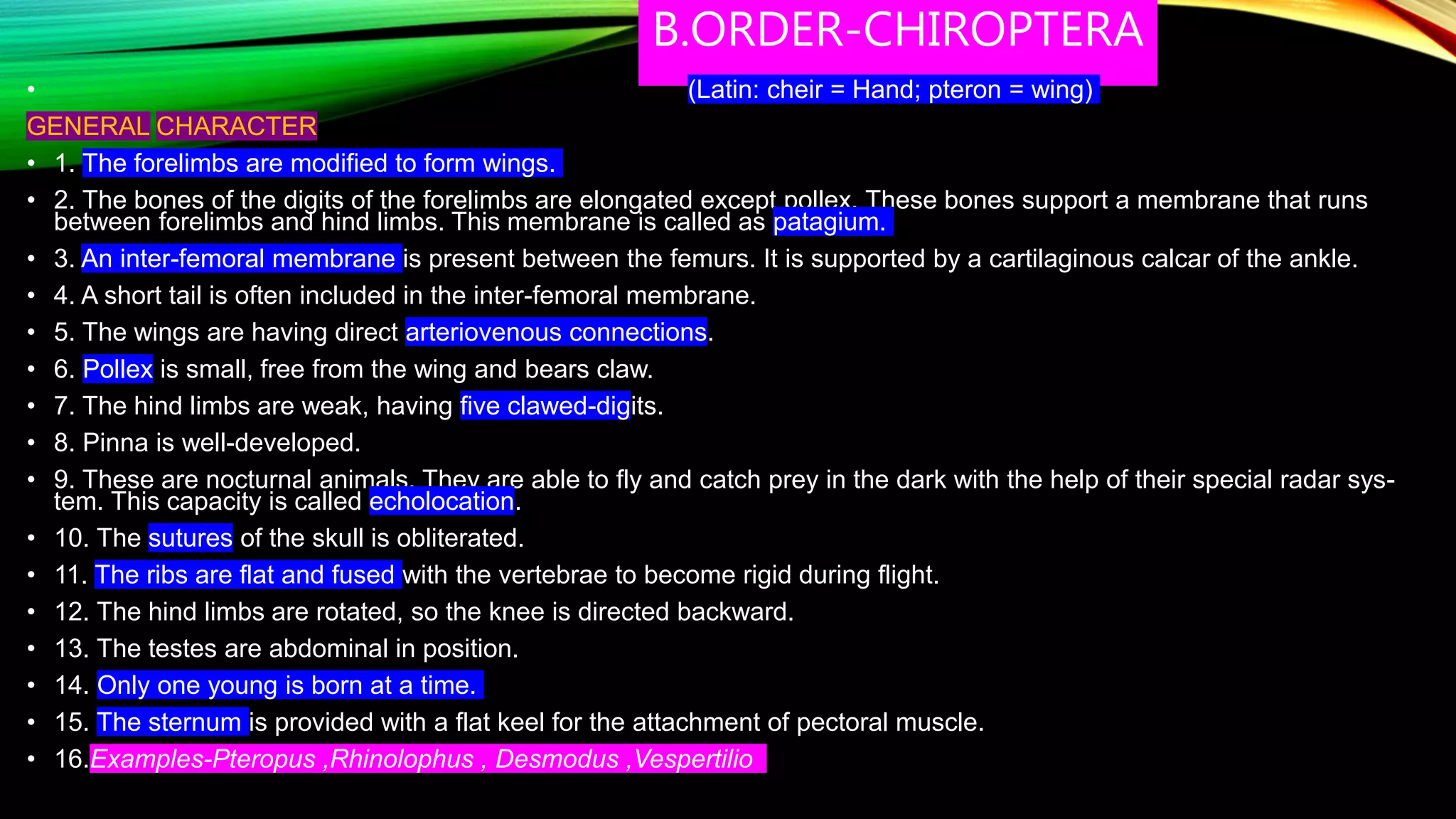 Classifications of mammals and aves | PPTX