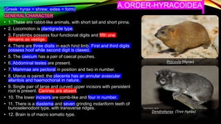 Classifications of mammals and aves | PPTX