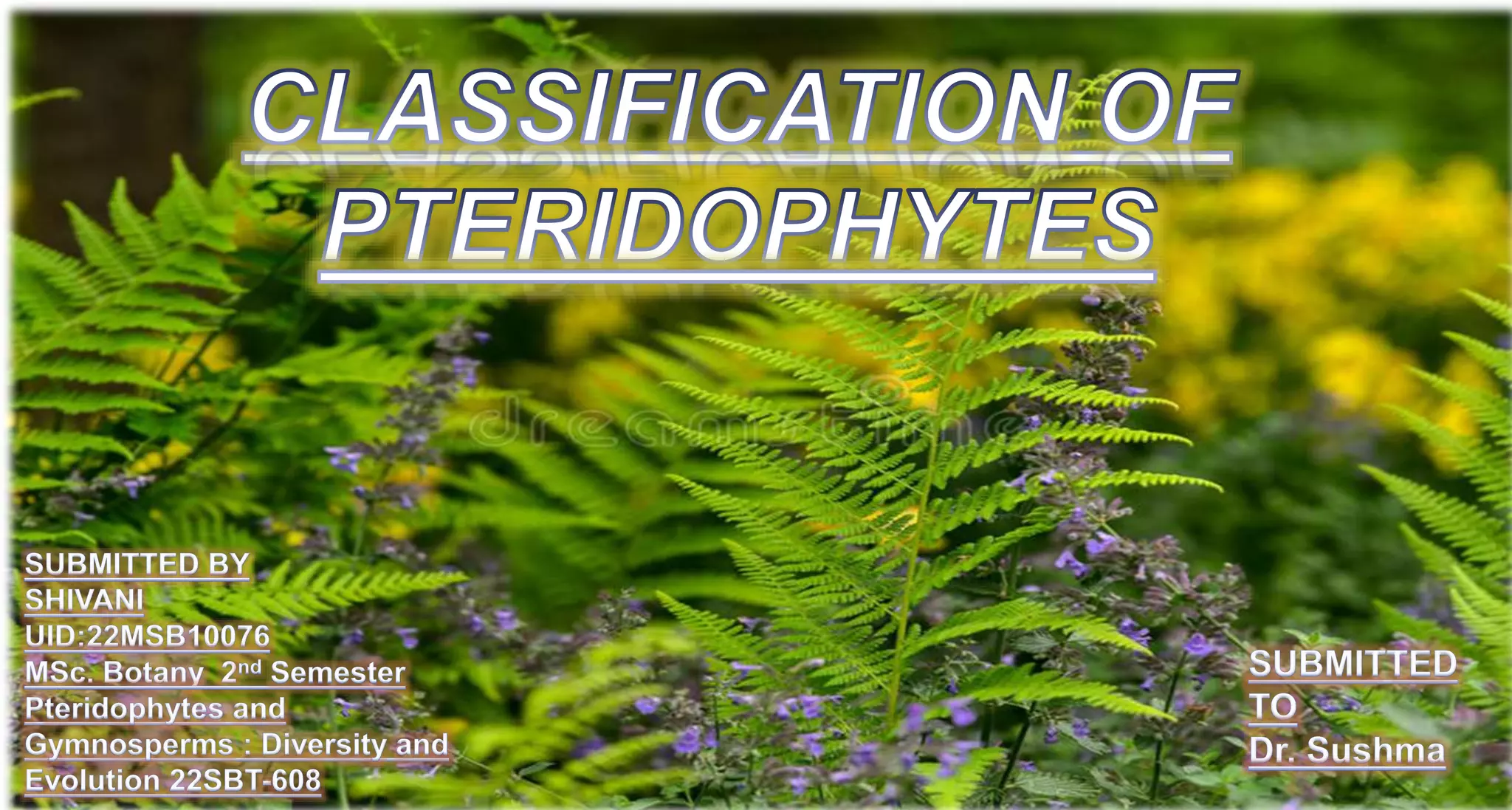 Classifications of pteridophytes | PPTX