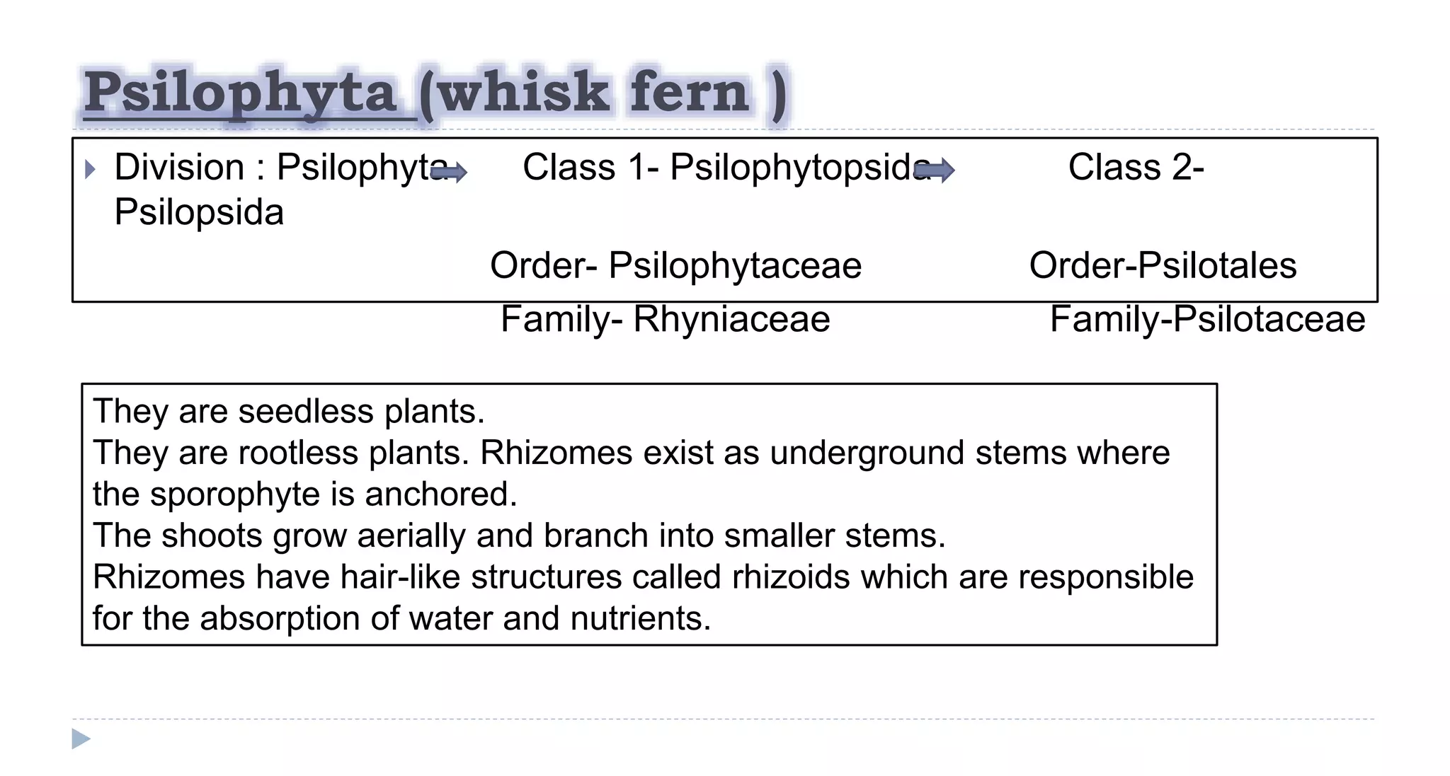 Classifications of pteridophytes | PPTX