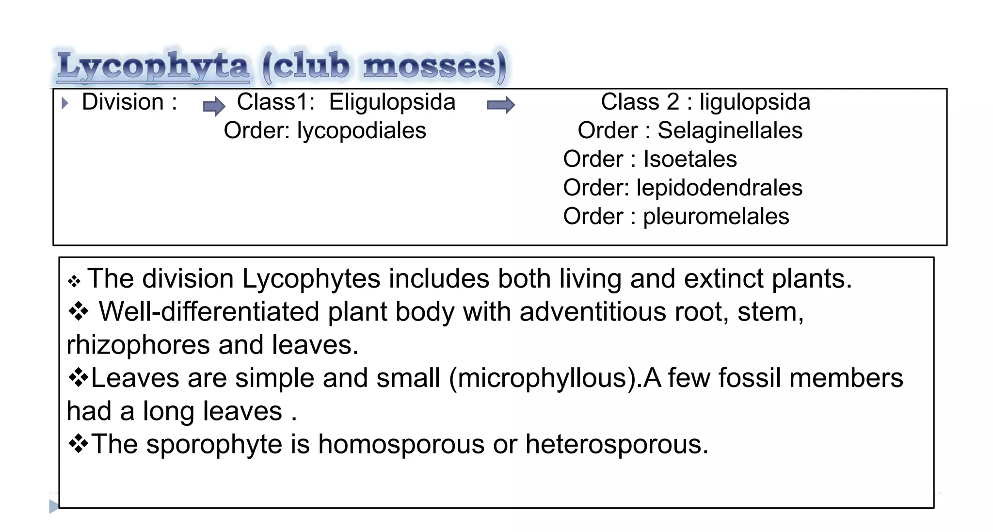 Classifications of pteridophytes | PPTX