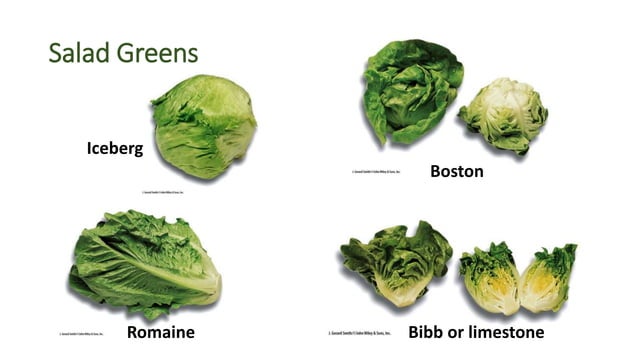 Classifications of salads | PPTX | Healthy Cooking and Eating | Food ...