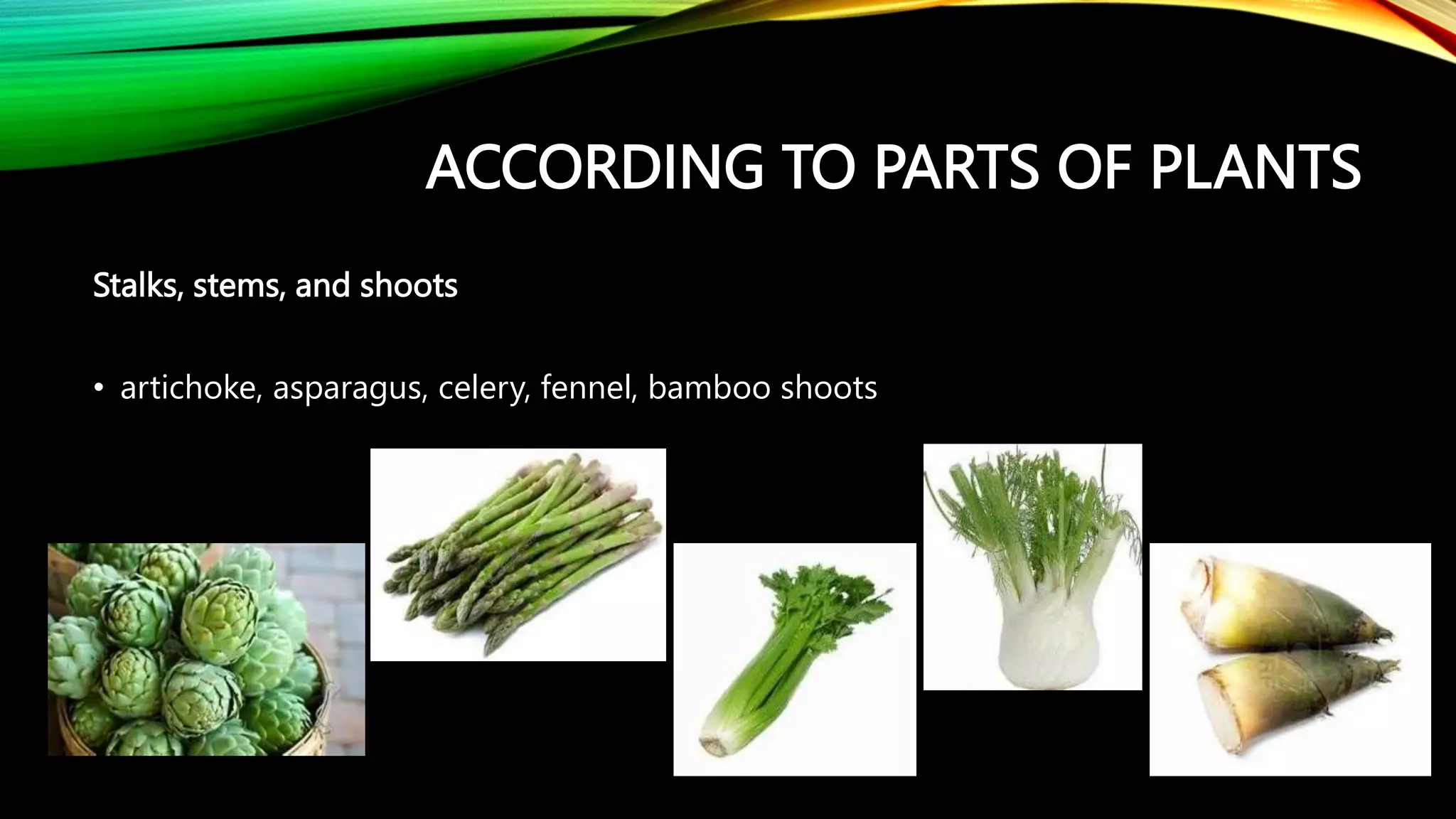 Classifications of Vegetables.pptx
