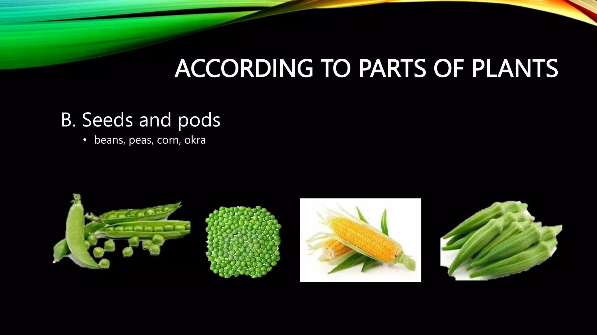Classifications of Vegetables.pptx