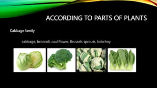 Classifications of Vegetables.pptx
