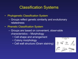 Classification+structure+function | PPT