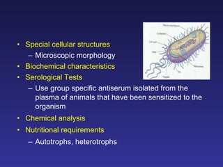Classification+structure+function | PPT