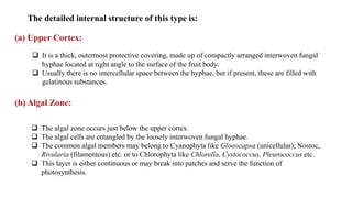Structure and Classification of Lichen.pptx