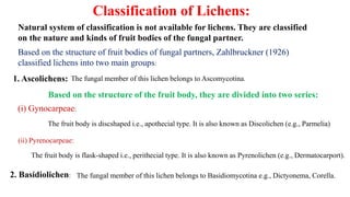Structure and Classification of Lichen.pptx