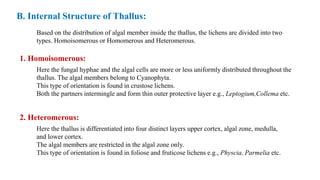 Structure and Classification of Lichen.pptx