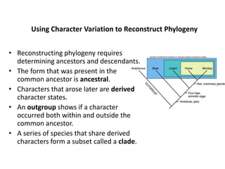 Classification | PPTX