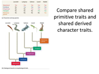 Classification | PPTX