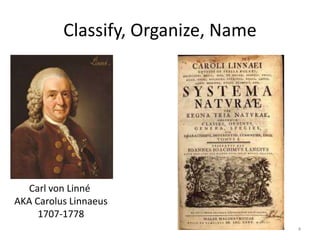 Classification | PPTX