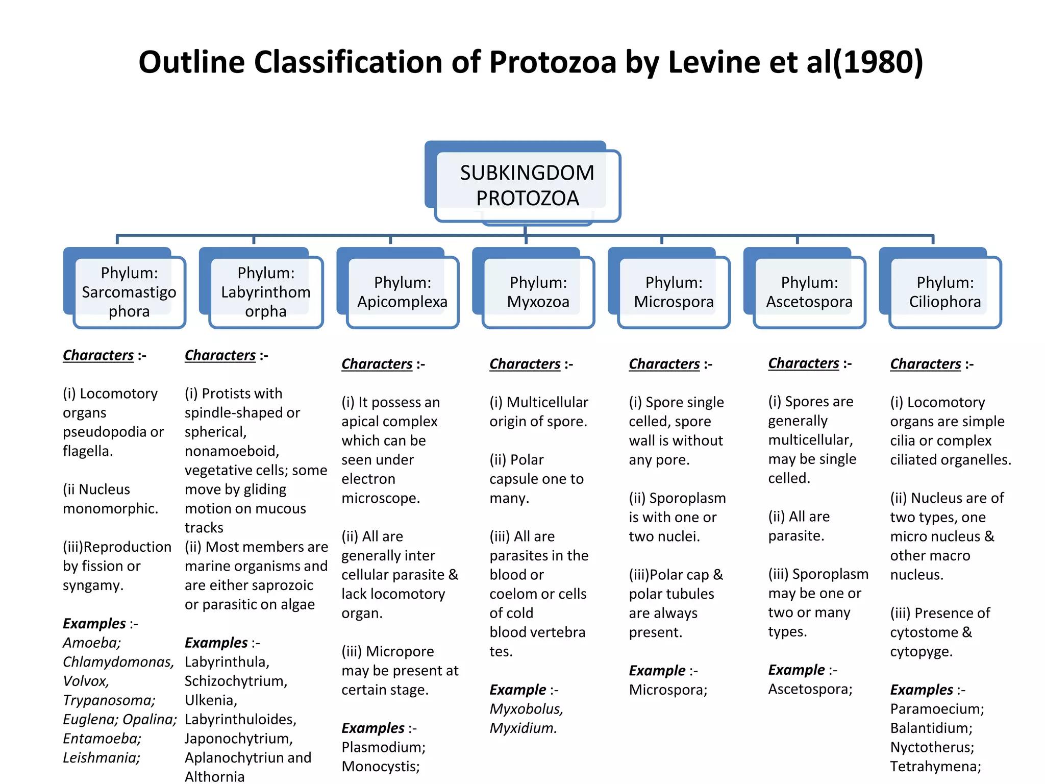 Kngdom Protista :Classification Subkingdom- PROTOZOA.pdf