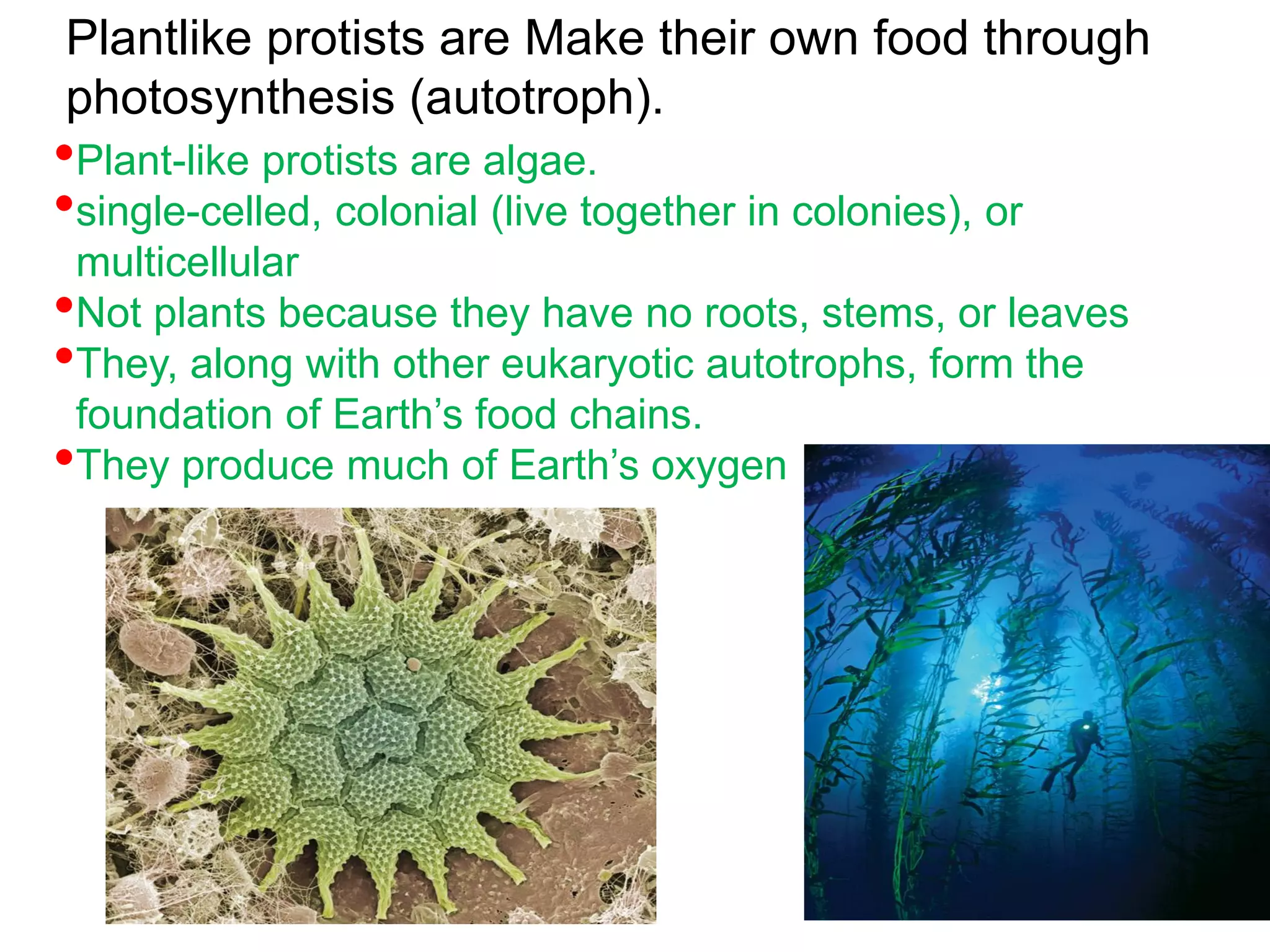 Kngdom Protista :Classification Subkingdom- PROTOZOA.pdf