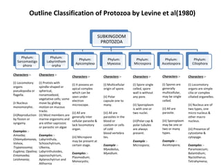 Kngdom Protista :Classification Subkingdom- PROTOZOA.pdf