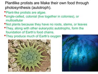 Kngdom Protista :Classification Subkingdom- PROTOZOA.pdf
