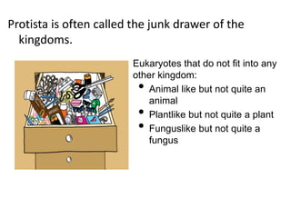 Kngdom Protista :Classification Subkingdom- PROTOZOA.pdf