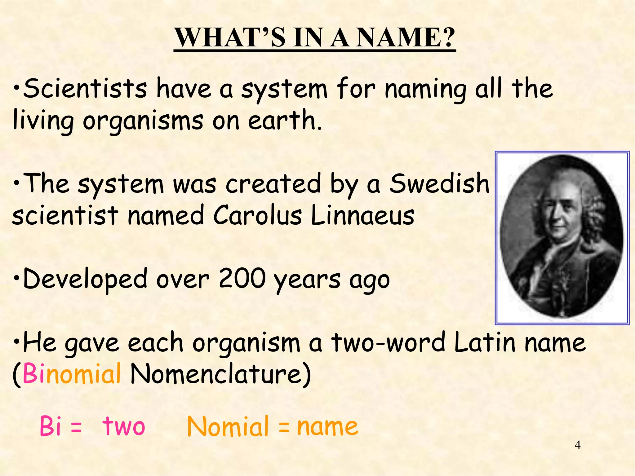 Classification system | PPT
