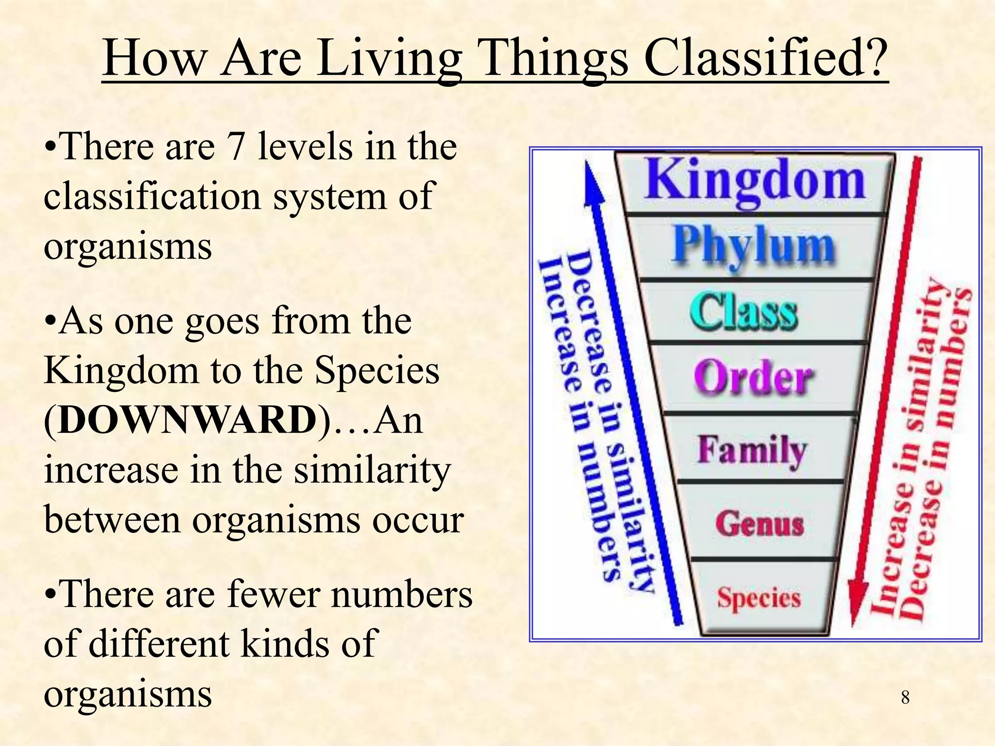 Classification system | PPT