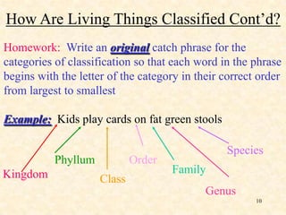 Classification system | PPT