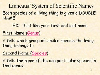 Classification system | PPT