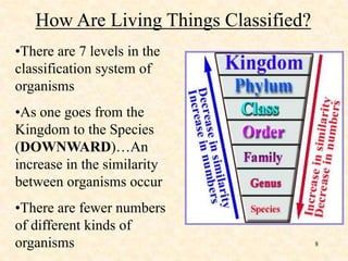 Classification system | PPT