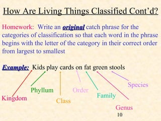 The Definition of CLASSIFICATION | PPT