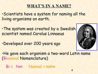 The Definition of CLASSIFICATION | PPT