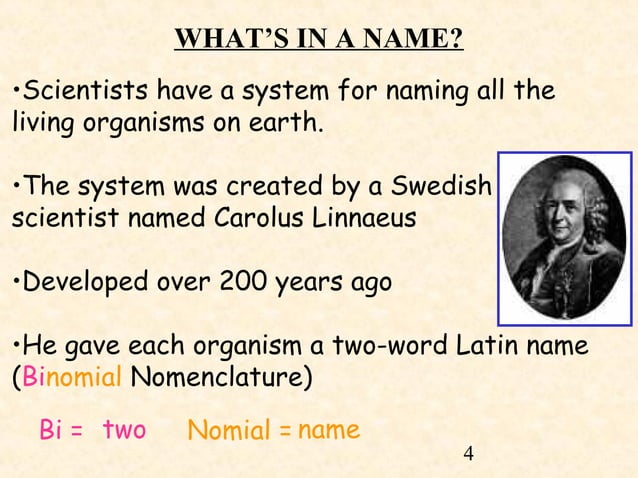 The Definition of CLASSIFICATION | PPT