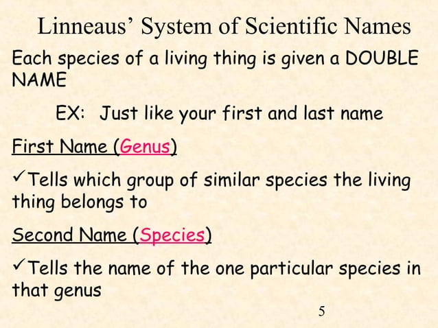 The Definition of CLASSIFICATION | PPT