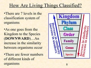 The Definition of CLASSIFICATION | PPT